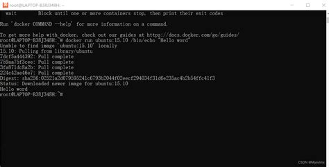 Docker Hello World如何用docker显示输出hello World Csdn博客