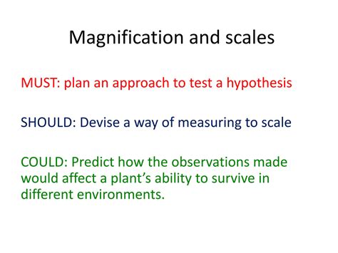 Solution Magnification Calculations Studypool