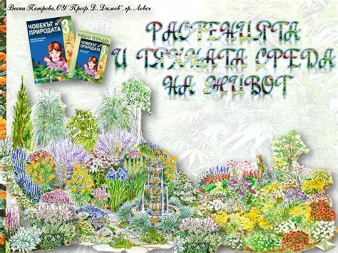 Растенията и тяхната среда на живот ЧП 3 клас Булвест Pptx