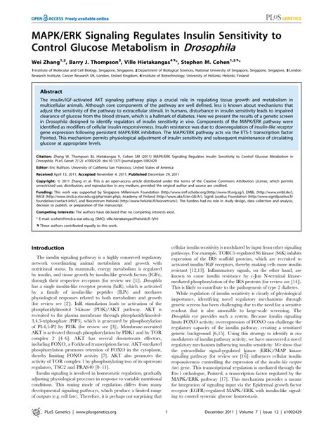 Pdf Mapkerk Signaling Regulates Insulin Sensitivity To Control