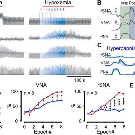 Hypoxemia And Hypercapnia Differentially Activate Post I Activities A