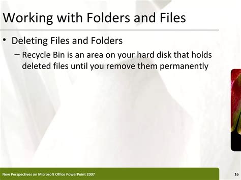 Managing Your Files Ppt