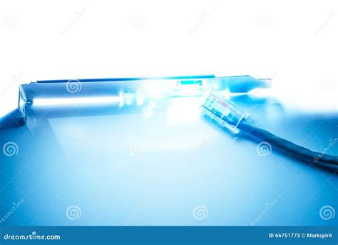 Network Card With Network Cable Stock Image Image Of Connection Ethernet