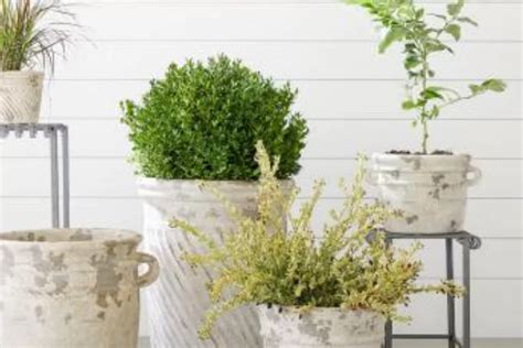 Best Rectangular Planters For Your Garden