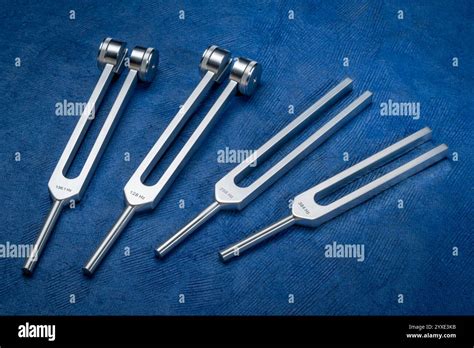 Set Of Weighted And Unweighted Metal Tuning Forks Used For Tuning