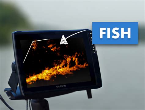 So You Want An Active Sonar Unit Garmin Livescope Lowrance