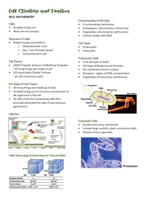 Biochem Cell Structure Pdf Cell Biology Cell Membrane