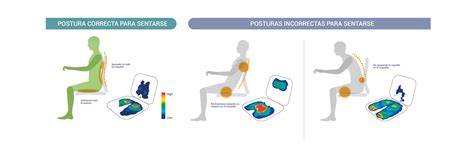 Sillas Ergonómicas Y Posturas Correctas Claves Para La Productividad