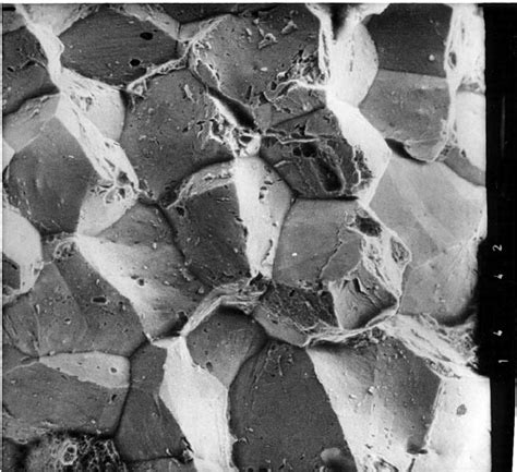 Sem Image Of Intergranular Fracture Of Fe 0 35c 1 5mn 0 1p Steel After