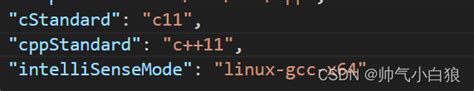VS Code 提示 namespace std has no member 解决方法 DoubleLi 博客园