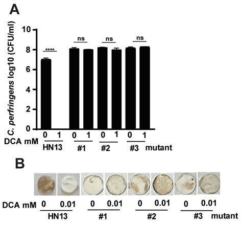 Potent Bile Acid Microbial Metabolites Modulate Clostridium Perfringens
