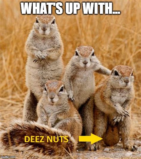 Deez Nuts Grant Meme Quickmeme