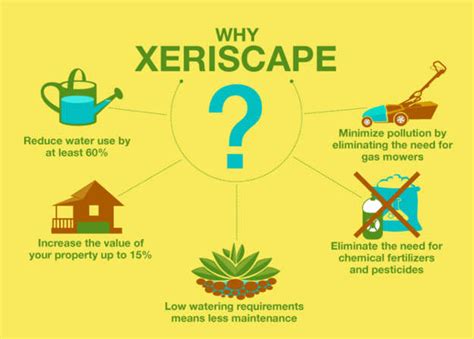 Xeriscape Plants The Sustainable Landscape Of The Future Is Here