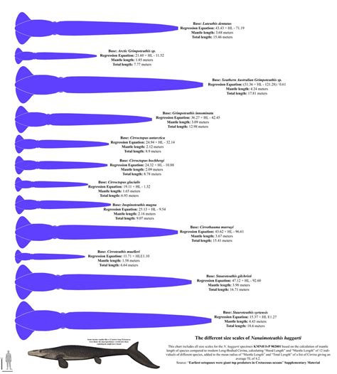 I Went Doing This For Reflect On The Representation Of Scale