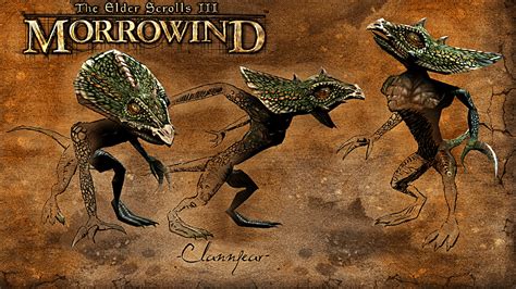Morrowind Loading Screens In 169 Widescreen Rmorrowind