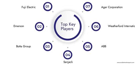 Spool Piece Multiphase Flow Meter Market Size Trends Analysis Share Forecast 2033