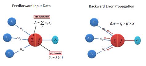 Artificial Neural Network