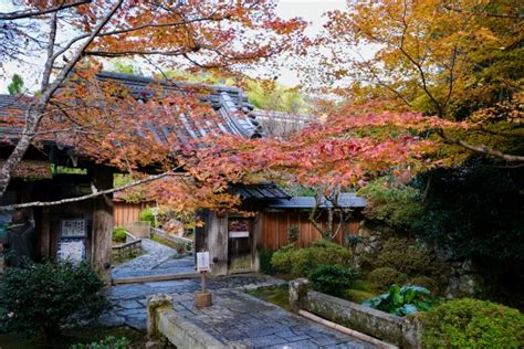 宝泉院 hosenin花咲く京都寺社めぐり