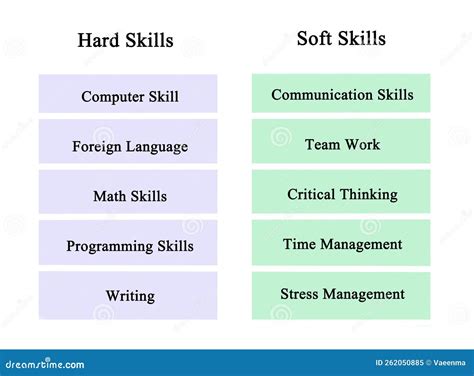 Hard And Soft Skills Stock Illustration Illustration Of Communication 262050885