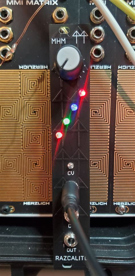 Razcalito Random Cv Generator Eurorack Module — Moth Hunter Mods