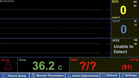 Simulated Adult Patient Monitor With Asystole Flatline With Sound