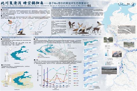此川复清浅晴空鹤归来基于Nbs理念的黄湓河生态修复设计 艾景奖IDEA KING AWARD官方网站 国际竞赛平台 可持续设计倡导者