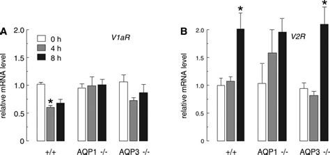 Transcript Expression Of Vasopressin Receptors V1aR A And V2R B Download Scientific Diagram