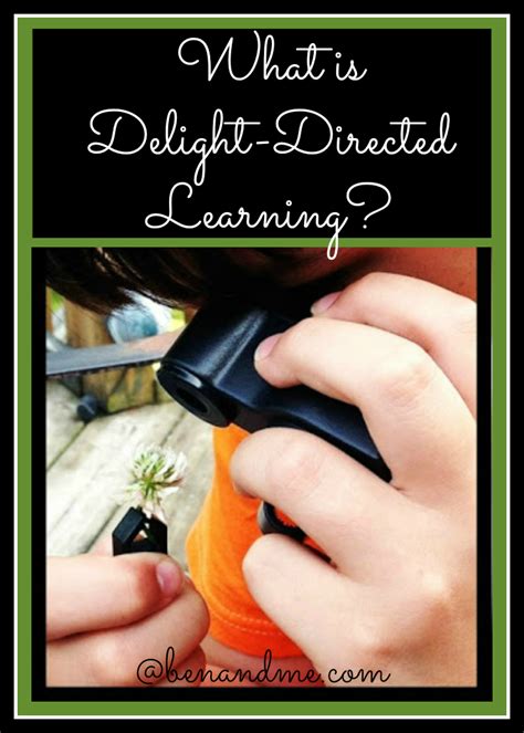 What Is Delight Directed Learning Ben And Me