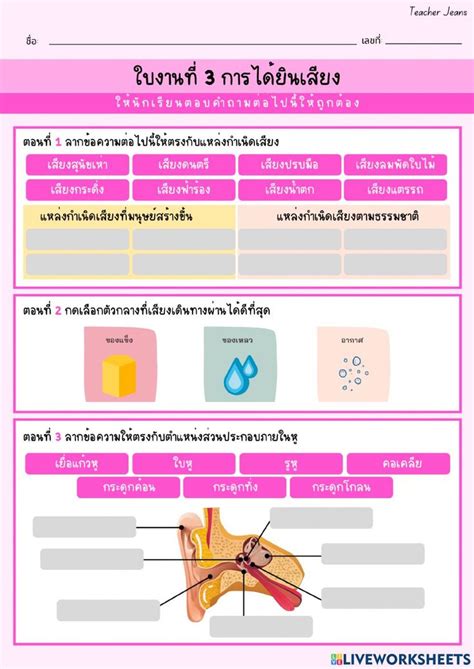 ใบงานที่ 19 เรื่อง เราได้ยินเสียงได้อย่างไร Worksheet ห้องเรียนวิทยาศาสตร์ ใบงานคณิตศาสตร์