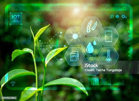 스마트 농업 농업 전환 기술 개념 Iot 요소 아이콘의 디지털 모니터 화면은 경작 농업 농장 배경 디지털 농장의 유기농 녹차 잎에 나타납니다 녹색에 대한 스톡 사진 및 기타