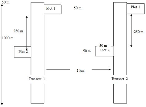 sample plots layout using systematic sampling technique download
