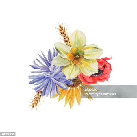 수선화 양귀비 꽃 해바라기의 수채화 꽃다발 생생한 봄 여름 식물 배열 결혼식 초대 포스터 인사말 카드 문구류 포장 로고 엽서 축제 장식 0명에 대한 스톡 벡터 아트 및 기타