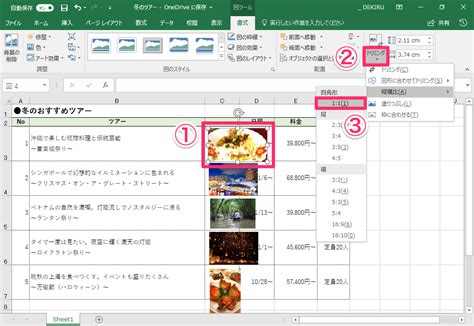 Excelセルに画像を埋め込む資料を分かりやすく画像挿入編集テクニック