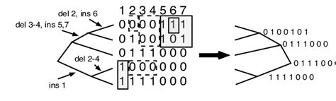 Example Of An Input To The Indel Parsimony Problem Together With One