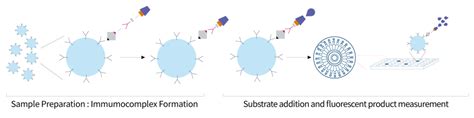 Digital Elisa Assay Simoa