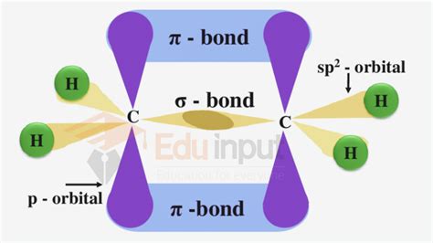 Sp2 Hybridization Definition Explanation Examples And Significance