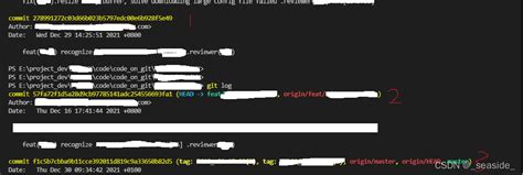 Git调整commit 的顺序 菜鸟笔记