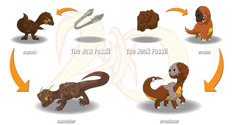 Fossils Jaw And Sail Fossils