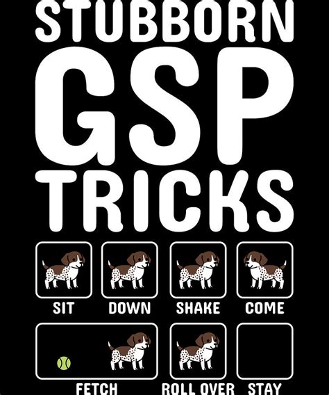 Stubborn German Shorthaired Pointer Tricks Digital Art By Jeff Chen