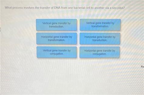 Solved What Process Involves The Transfer Of Dna From One