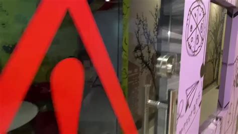 Muneeb Ur Rehman On Linkedin Pak Vs Nz