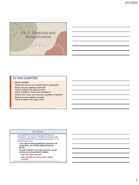 Lecture On Ch 5 Elasticity Pdf Demand Elasticity Economics