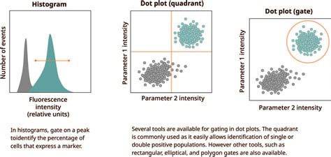 Flow Cytometry Data
