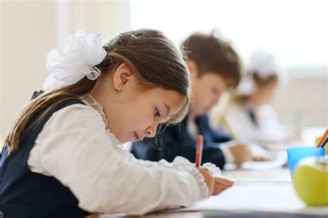 Indústria Vs Inferioridade No Desenvolvimento Psicossocial
