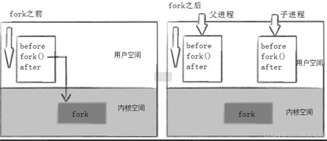 Linux进程控制：fork、exit与waitpid的江湖恩怨linux Fork Csdn博客