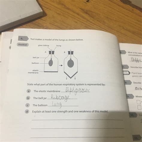 please answer d question