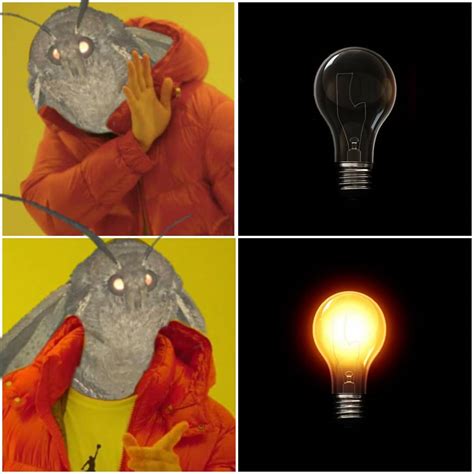 El Meme De La Polilla Es El Favorito De Internet Infobae