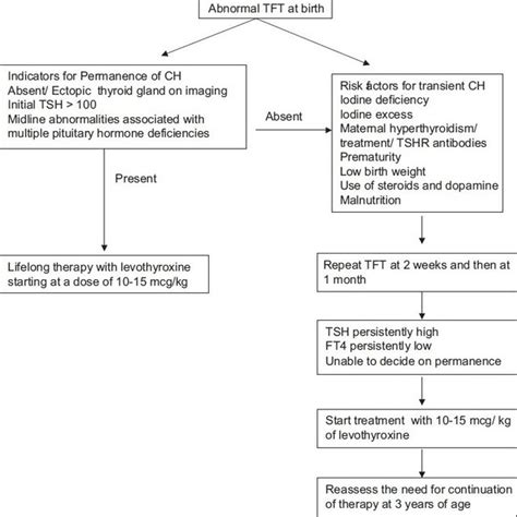 Flow Chart For Follow Up Of Abnormal Thyroid Function Test At Birth Download Scientific Diagram