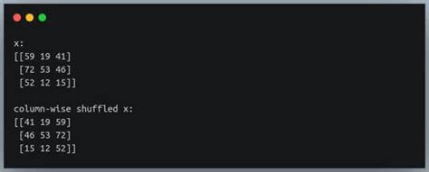 11 Amazing Numpy Shuffle Examples