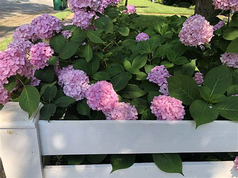 From Suicide Loss Survivor To Post Traumatic Thriver Emotionally